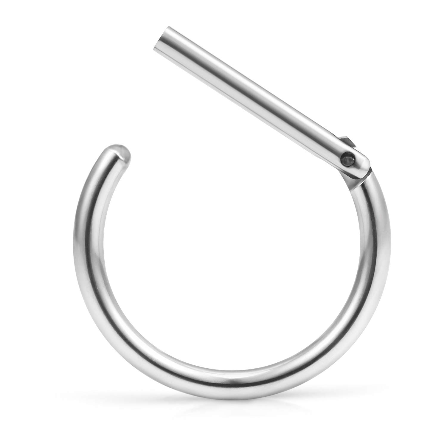 Ruifan 1PC 316L Stainless Steel D Shaped Hinged Seamless Segment Hoop Septum Clicker Ring Lip Helix Tragus Cartilage Earrings Nose Rings Pirecing 16g 10mm - Silver