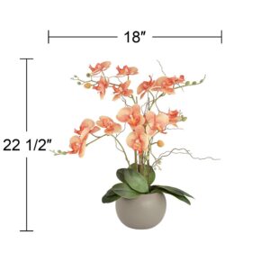 Studio 55D Orange Orchid Flower 22 1/2" High Faux Floral in Gray Ceramic Pot for Home Decor Table-Top Shelf Counter-Top Living Room Bedroom Bathroom Decoration Artificial Fabric Citrus