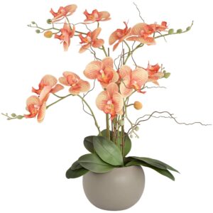 Studio 55D Orange Orchid Flower 22 1/2" High Faux Floral in Gray Ceramic Pot for Home Decor Table-Top Shelf Counter-Top Living Room Bedroom Bathroom Decoration Artificial Fabric Citrus