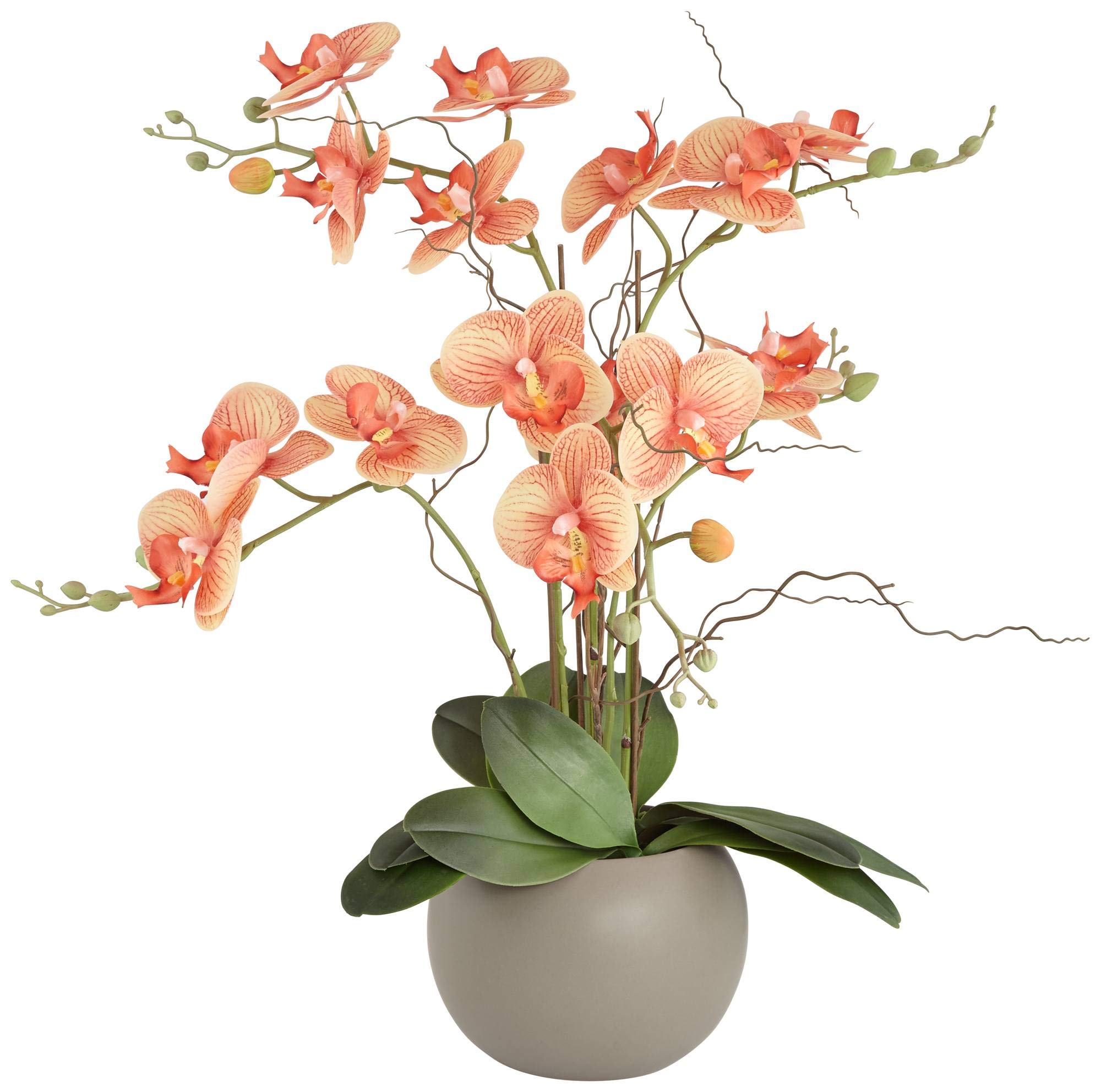 Studio 55D Orange Orchid Flower 22 1/2" High Faux Floral in Gray Ceramic Pot for Home Decor Table-Top Shelf Counter-Top Living Room Bedroom Bathroom Decoration Artificial Fabric Citrus