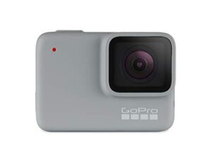 caméra sport gopro hero7 gray