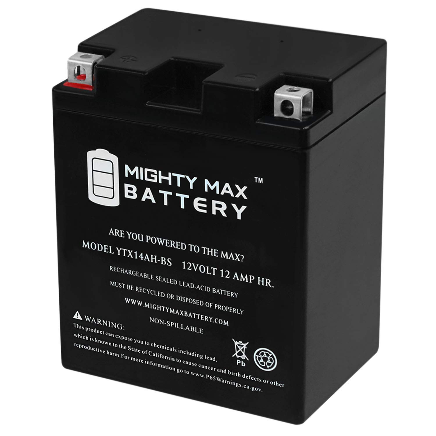 Mighty Max Battery YTX14AH-BS 12V 12Ah Battery Replaces Polaris Trail Boss 330CC 03-09