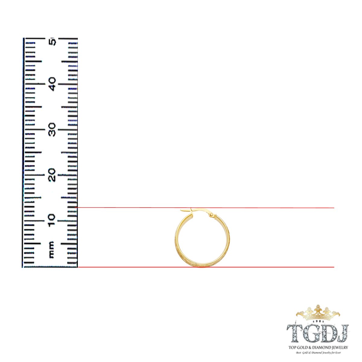 TGDJ 14k Yellow Gold Round Hoop Earrings - 2mm Thick Sterling Hinged Hoop Earrings for Women - Available in 9 Different Sizes from 13 mm to 65 mm