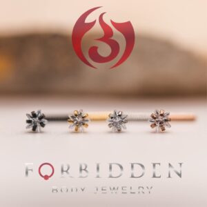 Forbidden Body Jewelry Nose Rings L Shaped, 18g/20g Surgical Steel Nose Ring, Star Nose Ring, 3mm CZ Star Top L-Shaped Nose Stud (18g Silver Tone)