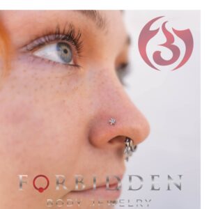 Forbidden Body Jewelry Nose Rings L Shaped, 18g/20g Surgical Steel Nose Ring, Star Nose Ring, 3mm CZ Star Top L-Shaped Nose Stud (18g Silver Tone)