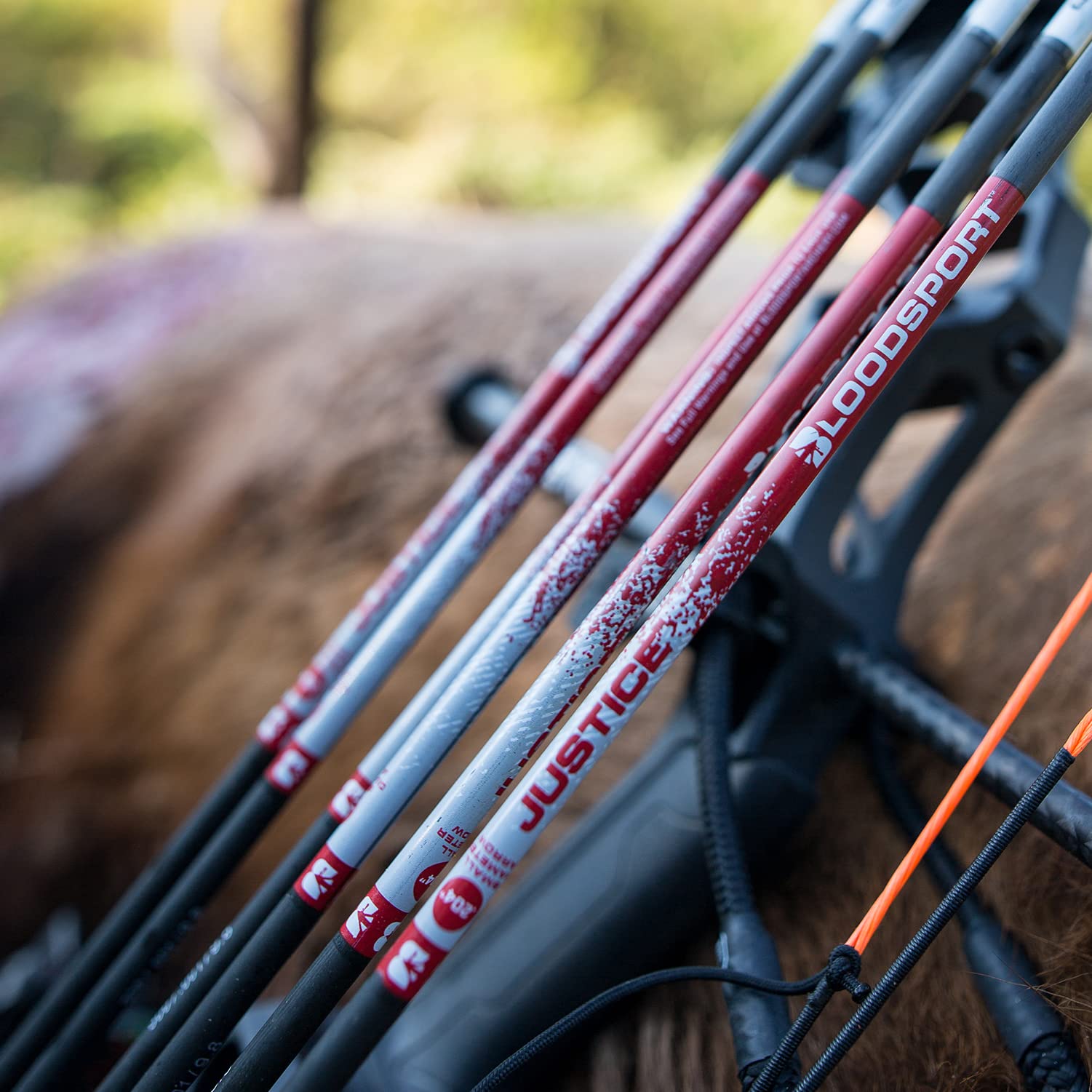 BLOODSPORT Justice Bare Shaft Precise Durable Carbon Hunting Arrow for Compound Bow - 31" Length, 204" Small-Diameter, 001" Straightness, 12 Pack, 400 Spine