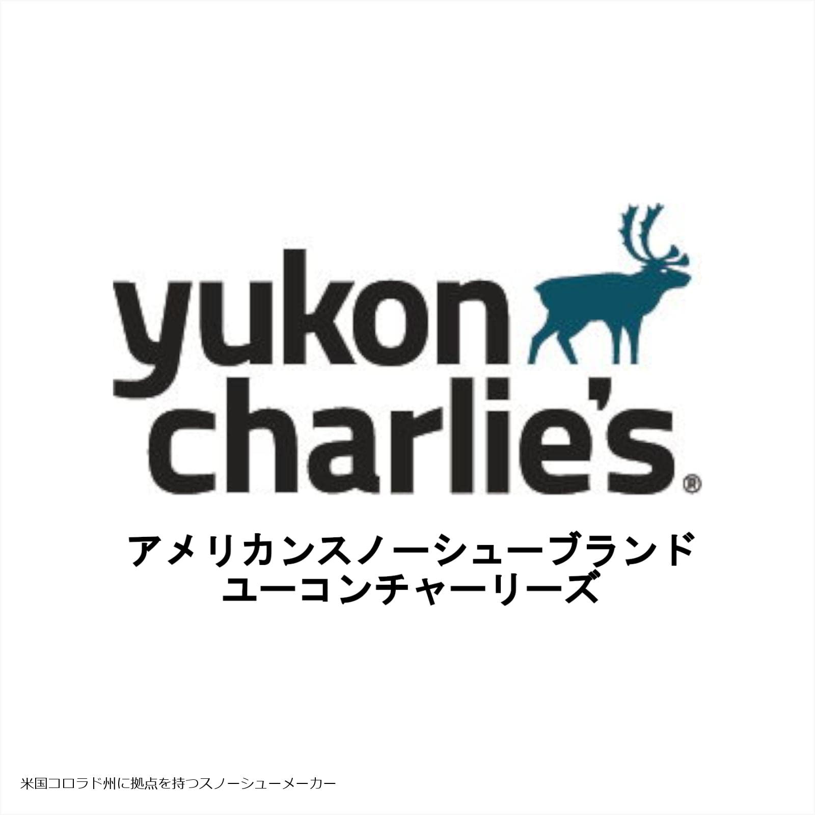 Yukon Charlie's Advanced Trekking Poles, Fast Lock Adjustment System, Trekking and Snow Baskets Included