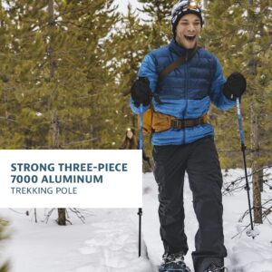 Yukon Charlie's Advanced Trekking Poles, Fast Lock Adjustment System, Trekking and Snow Baskets Included