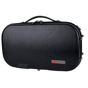 protec zip series micro-sized abs protection clarinet case, black (bm307)