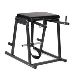 titan fitness economy h-pnd, reverse hyperextensions lower body machine, rated 700 lb, specialty home gym machine for physical therapy, back rehab exercises, and everyday training