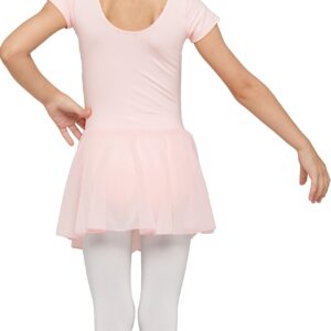 MdnMd Kids Girls Classic Ballet Dance Leotard with Tutu Skirt Dress Costume (Ballet Pink, Age 10-12)