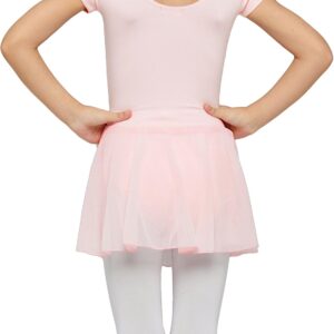 MdnMd Kids Girls Classic Ballet Dance Leotard with Tutu Skirt Dress Costume (Ballet Pink, Age 10-12)