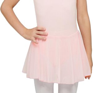 MdnMd Kids Girls Classic Ballet Dance Leotard with Tutu Skirt Dress Costume (Ballet Pink, Age 10-12)