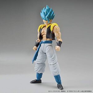 Bandai Spirits Figure-Rise Standard Super Saiyan God Super Saiyan Gogeta Dragon Ball Super (BAS5055580)