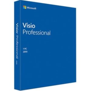 microsoft visio 2019 professional for windows 10 - box pack - 1 pc - medialess