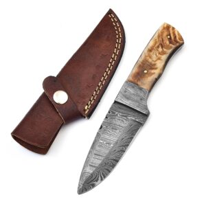 sharpworld 8 inches beautiful damascus knife made of remarkable damascus steel ram handle -ideal hunting knife with sheath tj108