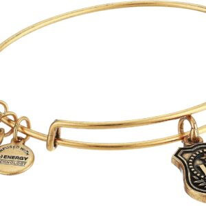 Alex and Ani Women's Law Enforcement Bangle Bracelet, Rafaelian Gold