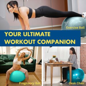 ProBody Pilates Ball Yoga Ball Exercise Ball, Balance Ball or Pregnancy Ball for Stability, Yoga Ball Chair, Therapy Ball Workout Ball or Birthing Ball for Pregnancy (Slate, 55 cm)