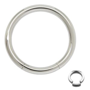 FIFTH CUE Seamless 316L Surgical Steel Segment Ring (10G - 1/2" 12mm)