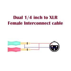 SiYear- 6.6FT XLR Female 3Pin to 6.35mm 1/4 inch Mono Male Audio Y Splitter Cable, Dual 6.35mm 1/4" Male to XLR Female Stereo Microphone Audio Converter Adapter Cable(2m)