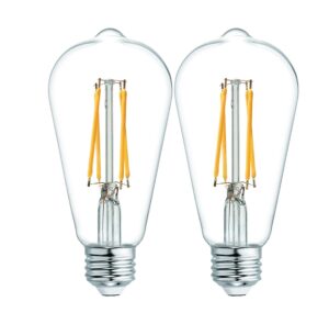 ge lighting vintage edison style led light bulbs, 6 watt (60 watt equivalent) warm candle light, clear glass, medium base, dimmable, 2 count (pack of 1)