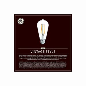 GE Lighting Vintage Edison Style LED Light Bulbs, 6 Watt (60 Watt Equivalent) Warm Candle Light, Clear Glass, Medium Base, Dimmable, 2 Count (Pack of 1)