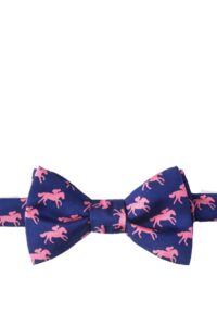 alynn men's 100% silk blue & pink photo finish horse race racing derby bow tie