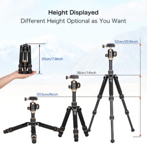 Koolehaoda Portable Tabletop Mini Tripod,8-20inch Height Adjustable Compact Desktop Macro Mini Tripod with Carrying Bag,Weight only 1.5lbs / 0.68kg