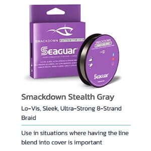 Seaguar Smackdown High Visibility Fishing Line 10lbs, 150yds Break Strength/Length, Stealth Gray - 10SDSG150