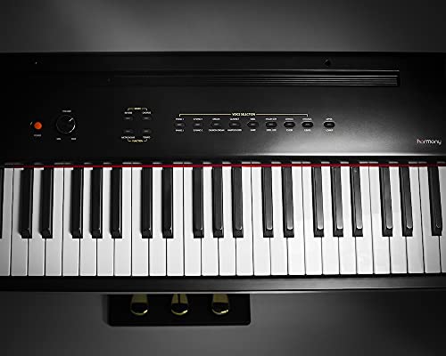 Artesia Harmony 88 Weighted Key Digital Piano - Black with Matching Furniture Stand and Three Pedal Board, includes Two Months of TakeLessons Online Lessons