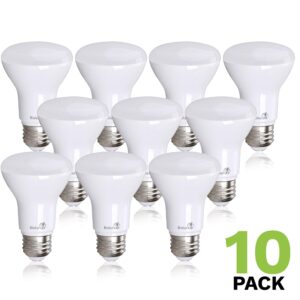 Bioluz LED 10 Pack BR20 LED Bulb 6W=50W 2700K Warm White 90 CRI Dimmable UL-Listed CEC Title 20 Compliant 540 Lumen Outdoor/Indoor Flood Light (Pack of 10)