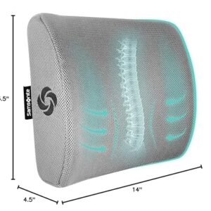 Samsonite SA5244 Ergonomic Lumbar Support Pillow Helps Relieve Lower Back Pain 100% Pure Memory Foam Improves Posture Fits Most Seats Breathable Mesh Washable Cover Adjustable Strap