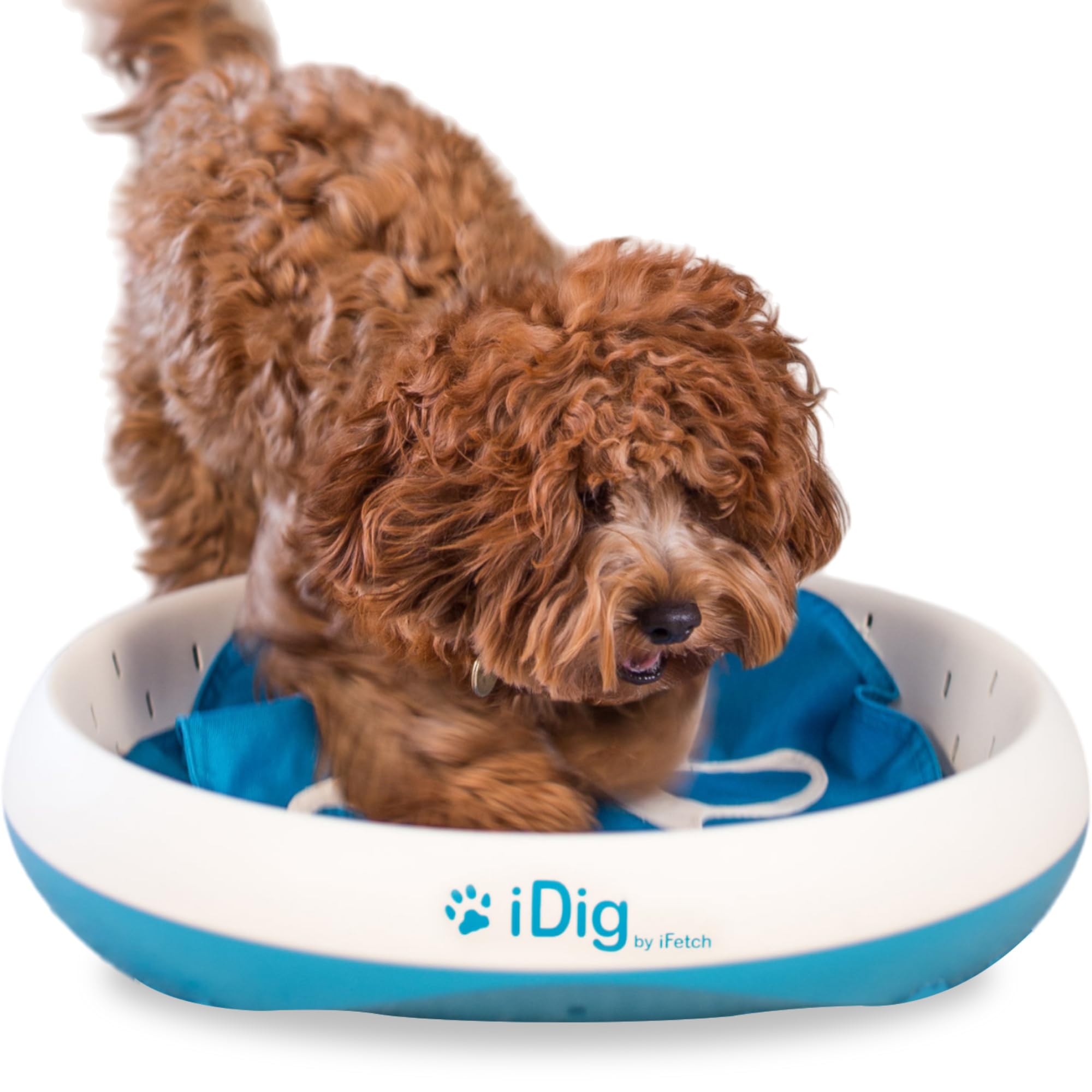 iFetch iDig Stay Dog Digging Toy, Interactive Sniff Mat for Dogs, Activity Treat Puzzle for Mental Stimulation and Enrichment