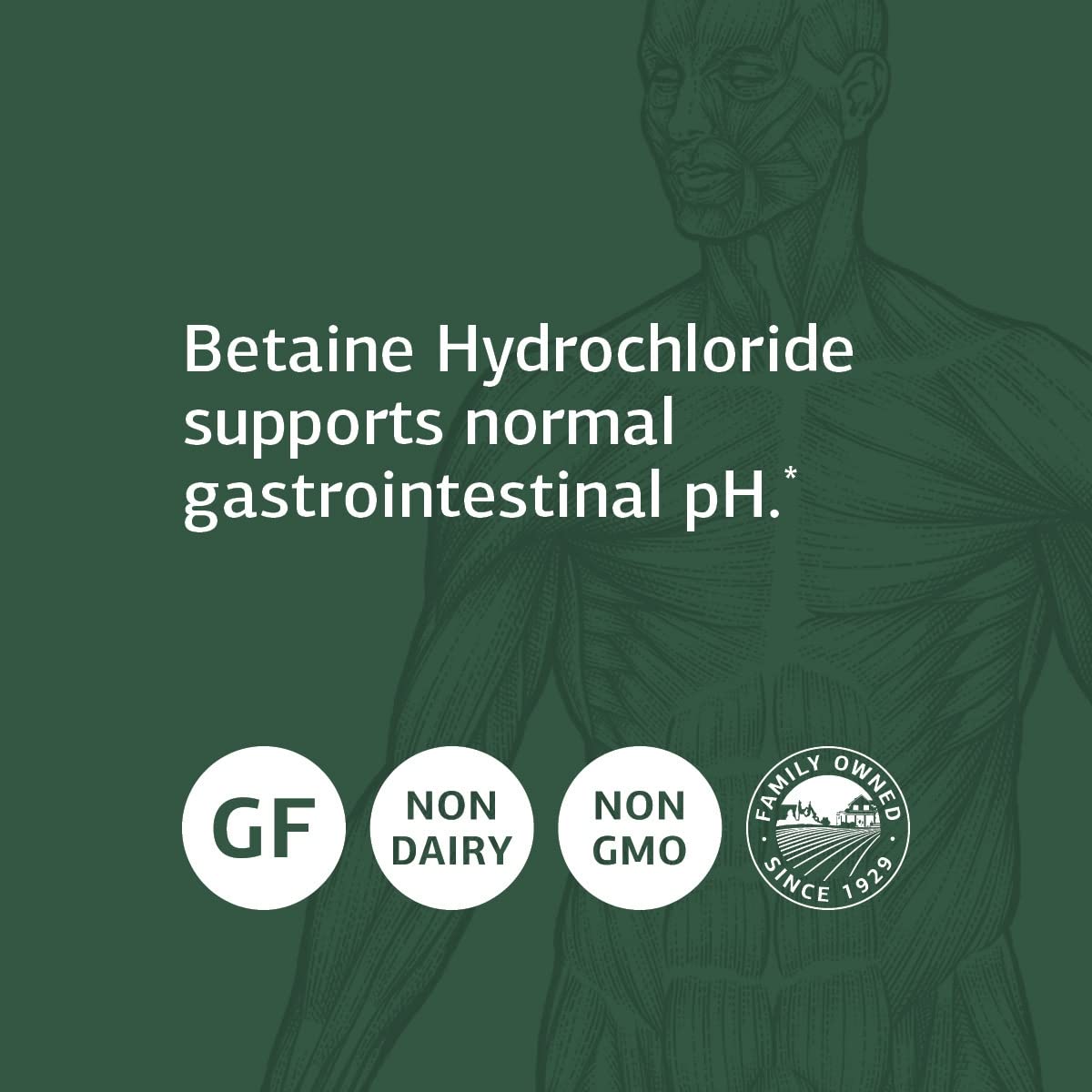 Standard Process Betaine Hydrochloride - Whole Food GI and Digestive Health Supplement with Magnesium Citrate, Betaine HCl, Ammonium Chloride, Pepsin, and More - 180 Tablets