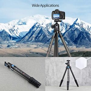 SIRUI ST-124 Carbon Fiber Tripod with Triangular Centre Column, Waterproof, Travel Tripod for Cameras, 4 Sections, 62.2inch, Load 26lbs