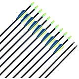 cq archery fiberglass target practice arrows 28inch recurve bow arrows for beginners or kids and youth(12pcs)