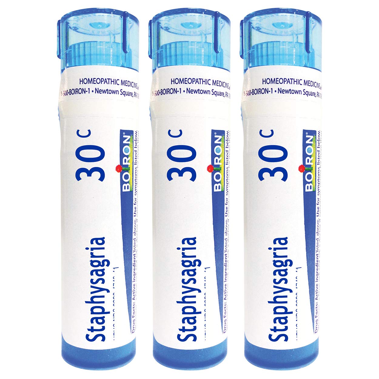 Boiron Staphysagria 30c Homeopathic Medicine for Itching of Surgical Wounds - Pack of 3 (240 Pellets)