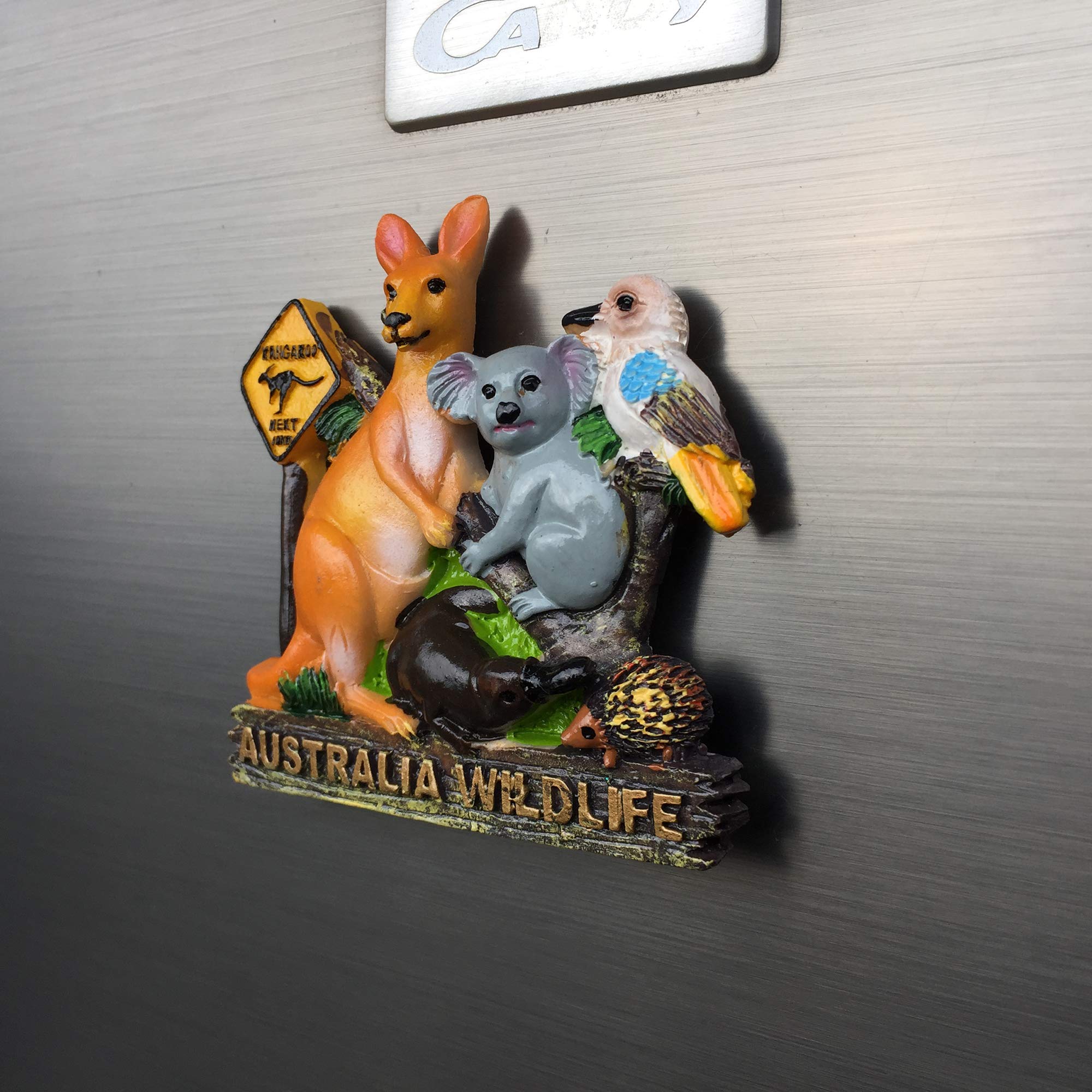 Australia Wildlife 3D Refrigerator Magnet Travel Sticker Souvenirs,Home & Kitchen Decoration Australia Fridge Magnet from China