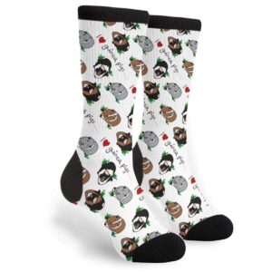 guinea pigs novelty socks for women & men