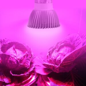 Zerone LED Grow Light Bulb, Plant Flower Hydroponic Bulb Full Spectrum E27/E14/GU10 85-265V 18W 18 LED Halogen Lamp Replacement, Pack of 2(GU10)