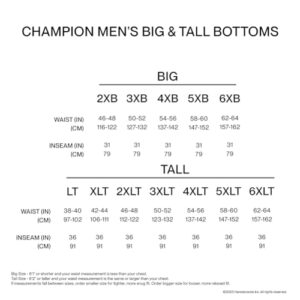 Champion Men's Graphic Jersey Short, Oxford Gray, Large