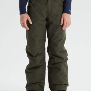 Burton Boys Barnstorm Pant, Forest Night, X-Small