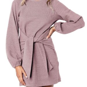 R.Vivimos Women's Autumn Winter Cotton Long Sleeves Elegant Knitted Bodycon Tie Waist Sweater Pencil Dress (Small, Light Violet)