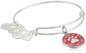 alex and ani women's my dog is my valentine charm bangle bracelet, shiny silver, expandable