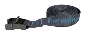 basic tie down strap 9'