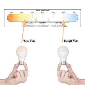 Tento Lighting E26 E27 5W 12VDC Low Voltage LED Light Bulbs, RV Lighting Off-Grid - Warm White (6 Pack)