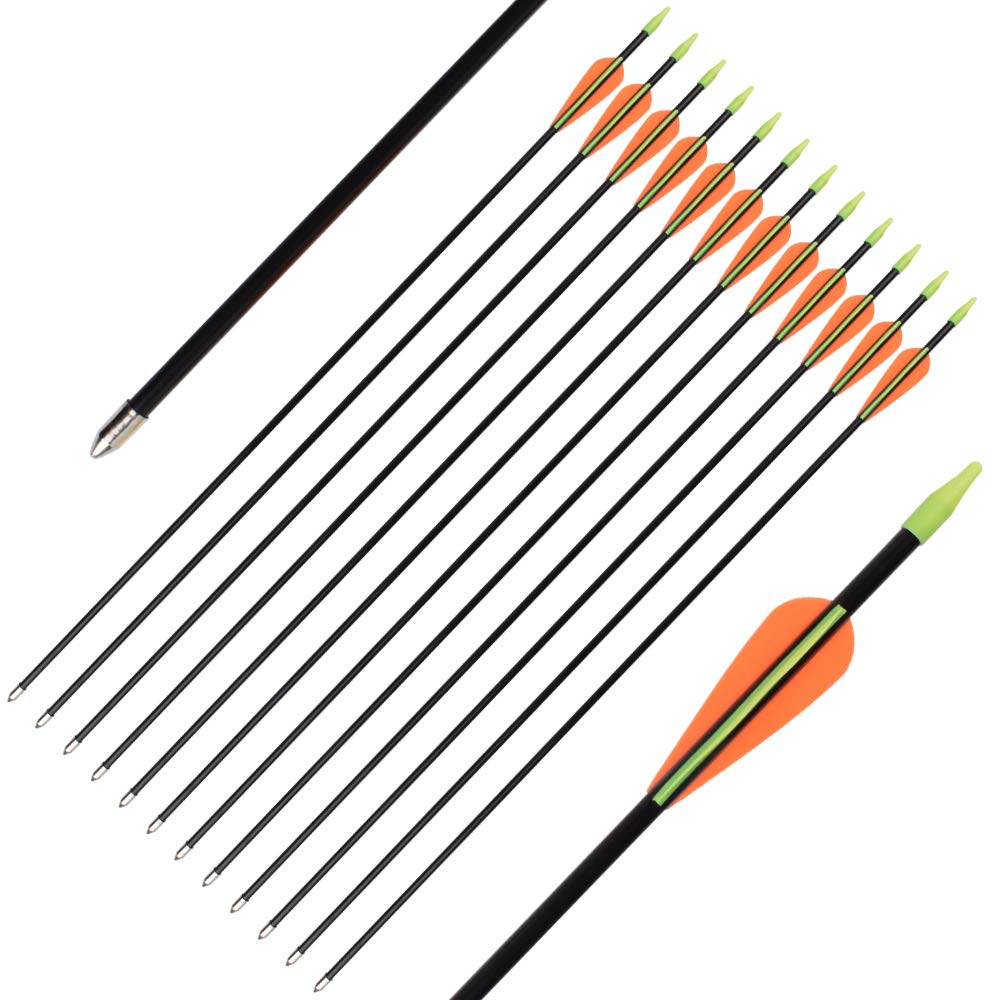 SHENG-RUI Archery Youth 24 26 Inch Fiberglass Archery Targeting Arrows for Youth Practise Recurvebow Compound Bow Shooting