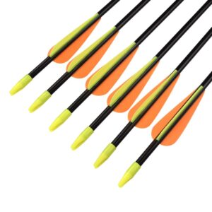 SHENG-RUI Archery Youth 24 26 Inch Fiberglass Archery Targeting Arrows for Youth Practise Recurvebow Compound Bow Shooting