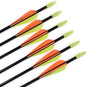 SHENG-RUI Archery Youth 24 26 Inch Fiberglass Archery Targeting Arrows for Youth Practise Recurvebow Compound Bow Shooting