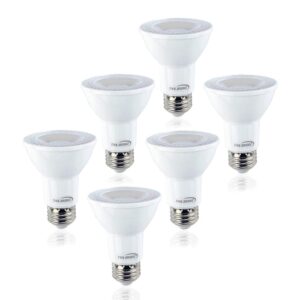 hanway recessed daylight led light bulbs dimmable energy efficient 5000k par lamps with 9w(90watts) e26 base indoor outdoor par20 flood lights bulbs white light 6 pack